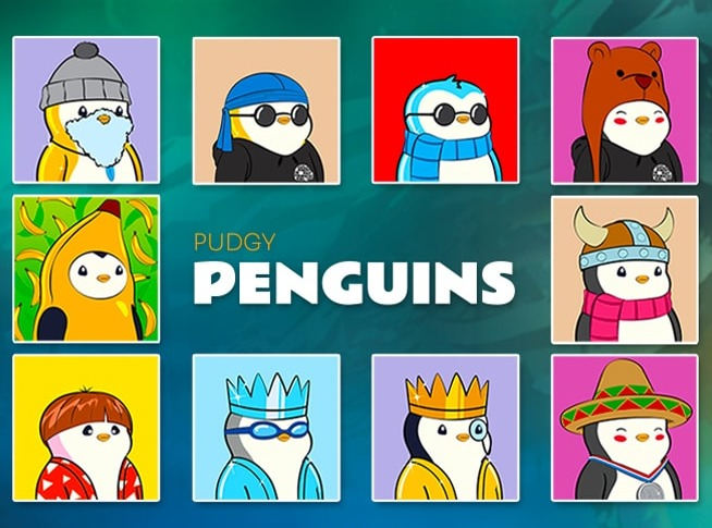 Pudgy Penguins NFT | Popular Web3 Penguin Collection