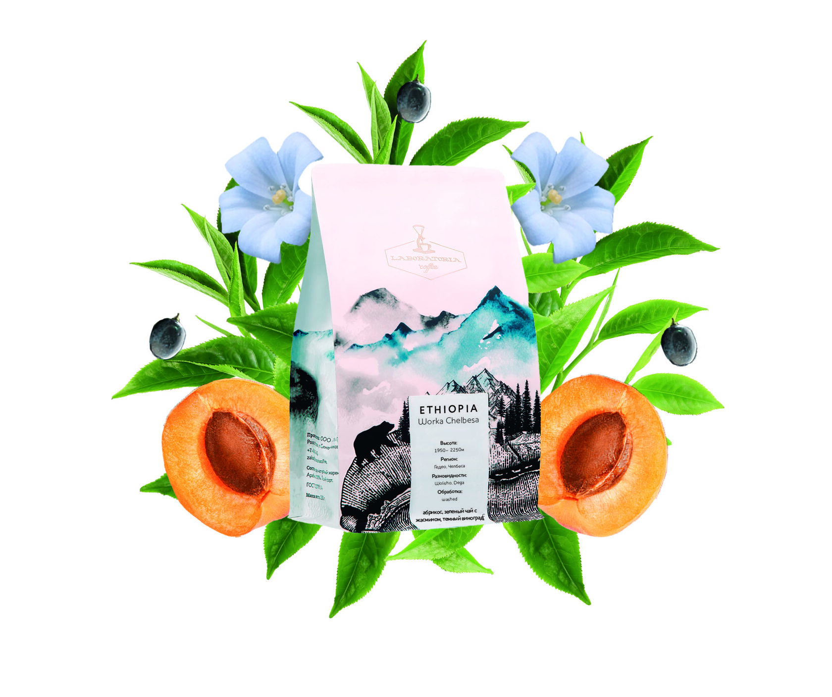Ethiopia Worka Chelbesa купить от Лаборатории кофе