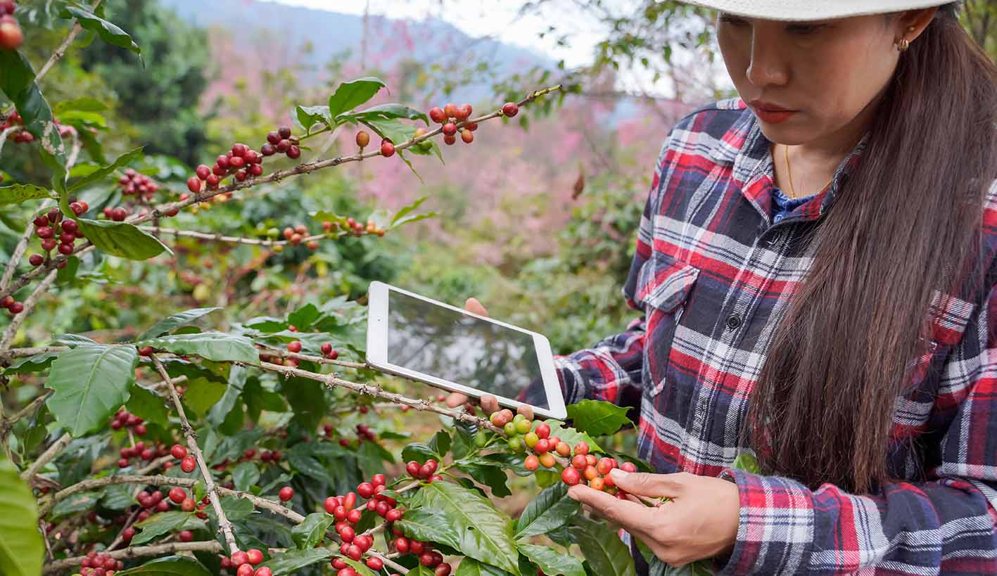 Starbucks Nitro Cold Brew Can | 5 Creative Ways To Enjoy in 2023