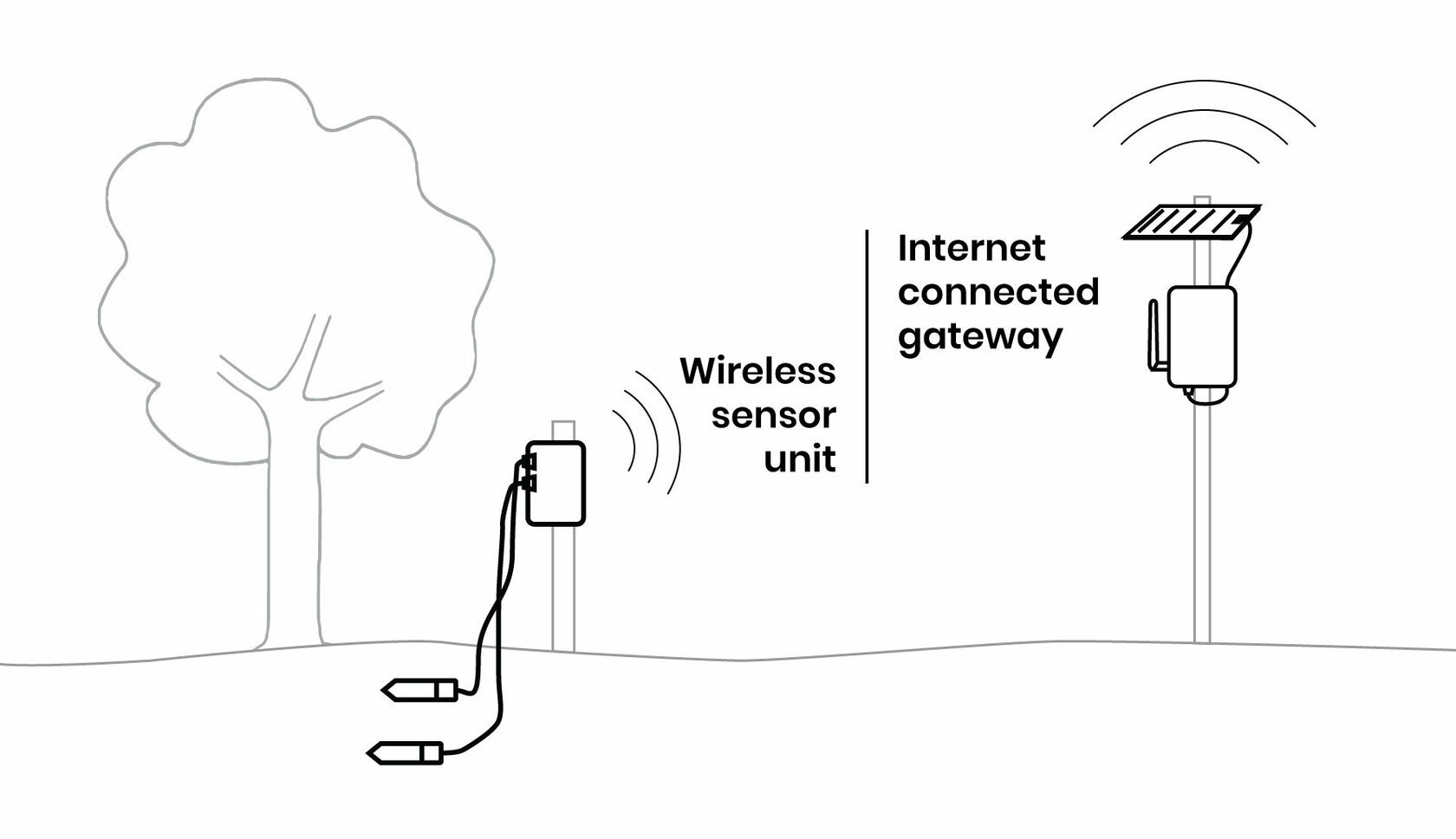 SoilSense - soil moisture sensors for the future of agriculture