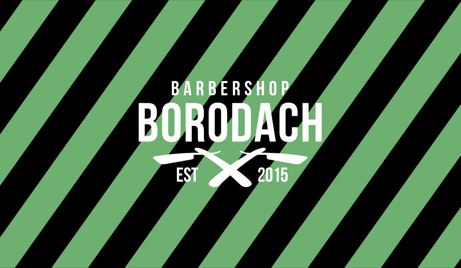 Брендбук BORODACH