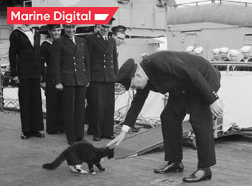 Unsinkable Sam