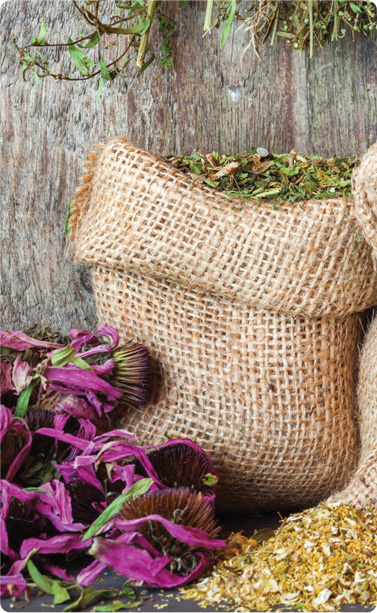 ЭПАМ – серия биодобавок на основе лекарственных растений, прополиса и ...