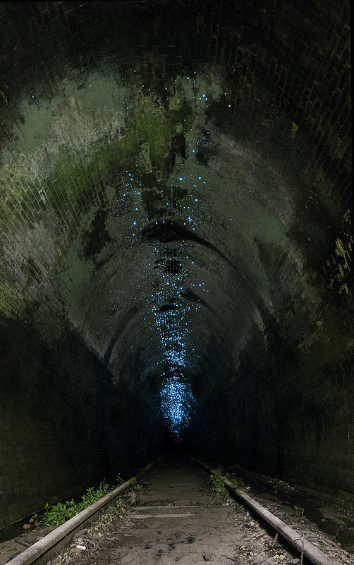 The most obscure attractions around the world | DiscoverCars.com