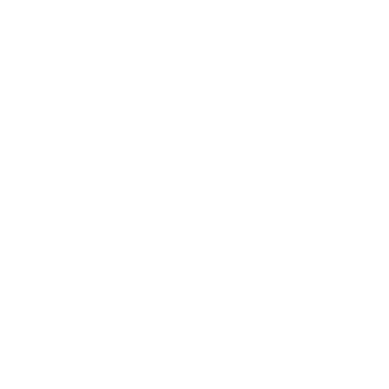 KNIGHT