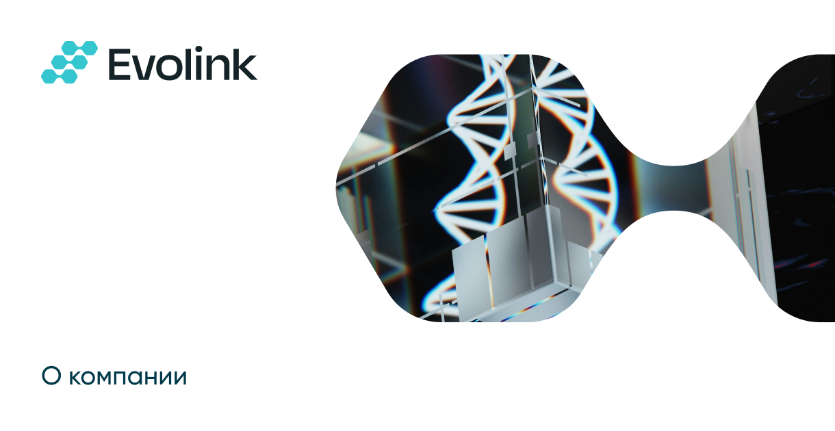 Больше об Evolink