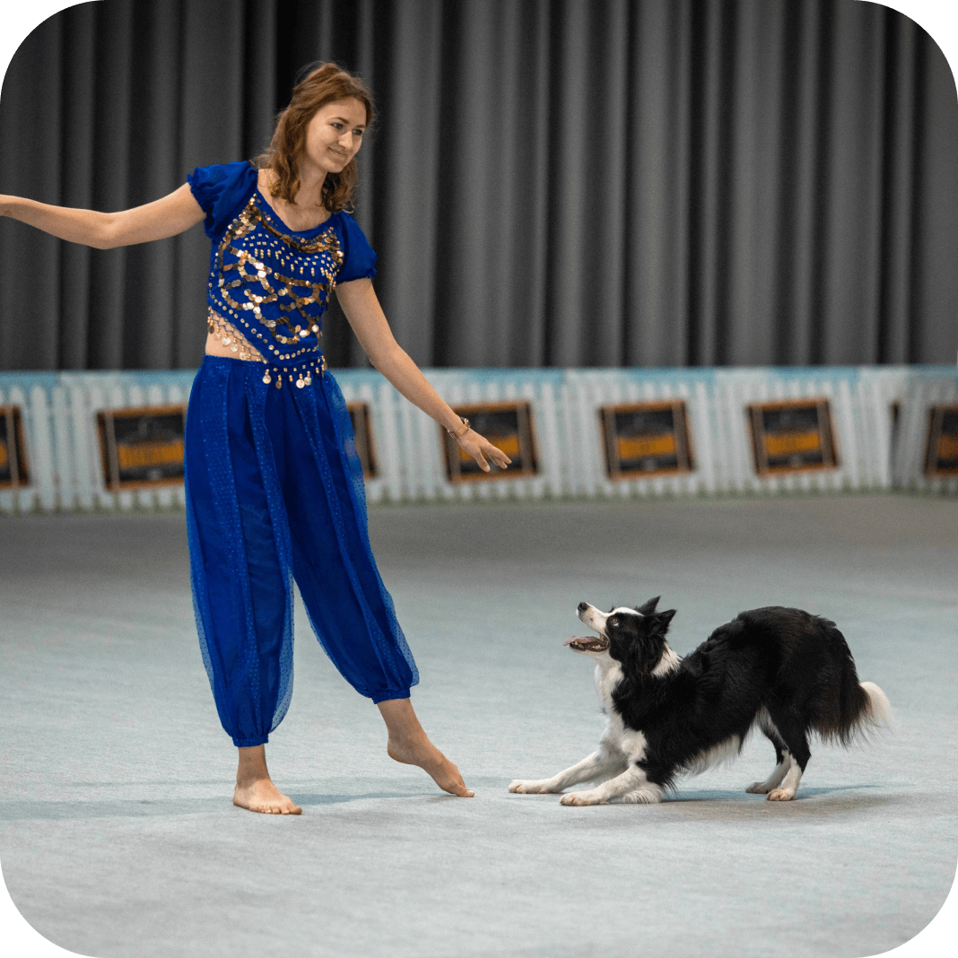 Canine Freestyle Dancing