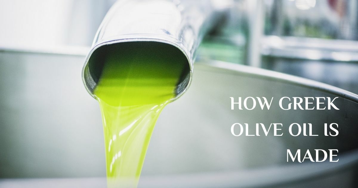 Process of Making Olive Oil: From Harvesting to Bottling