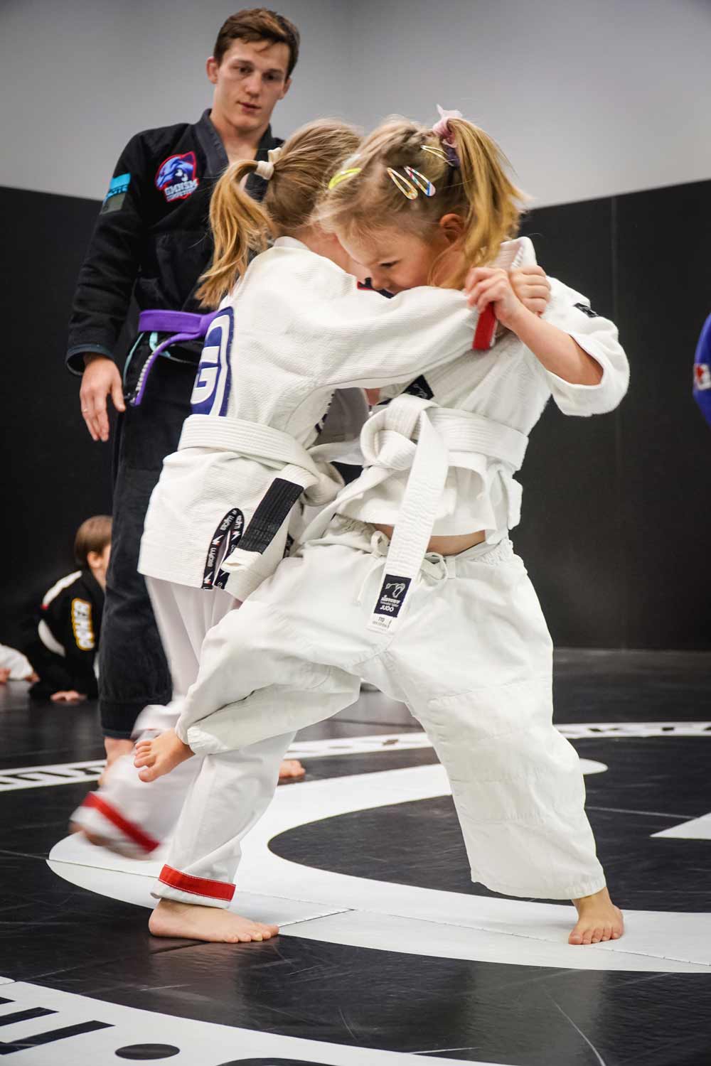 Сеть спортивно-развивающих клубов GYMNASIUM. Бразильское джиу-джитсу ...