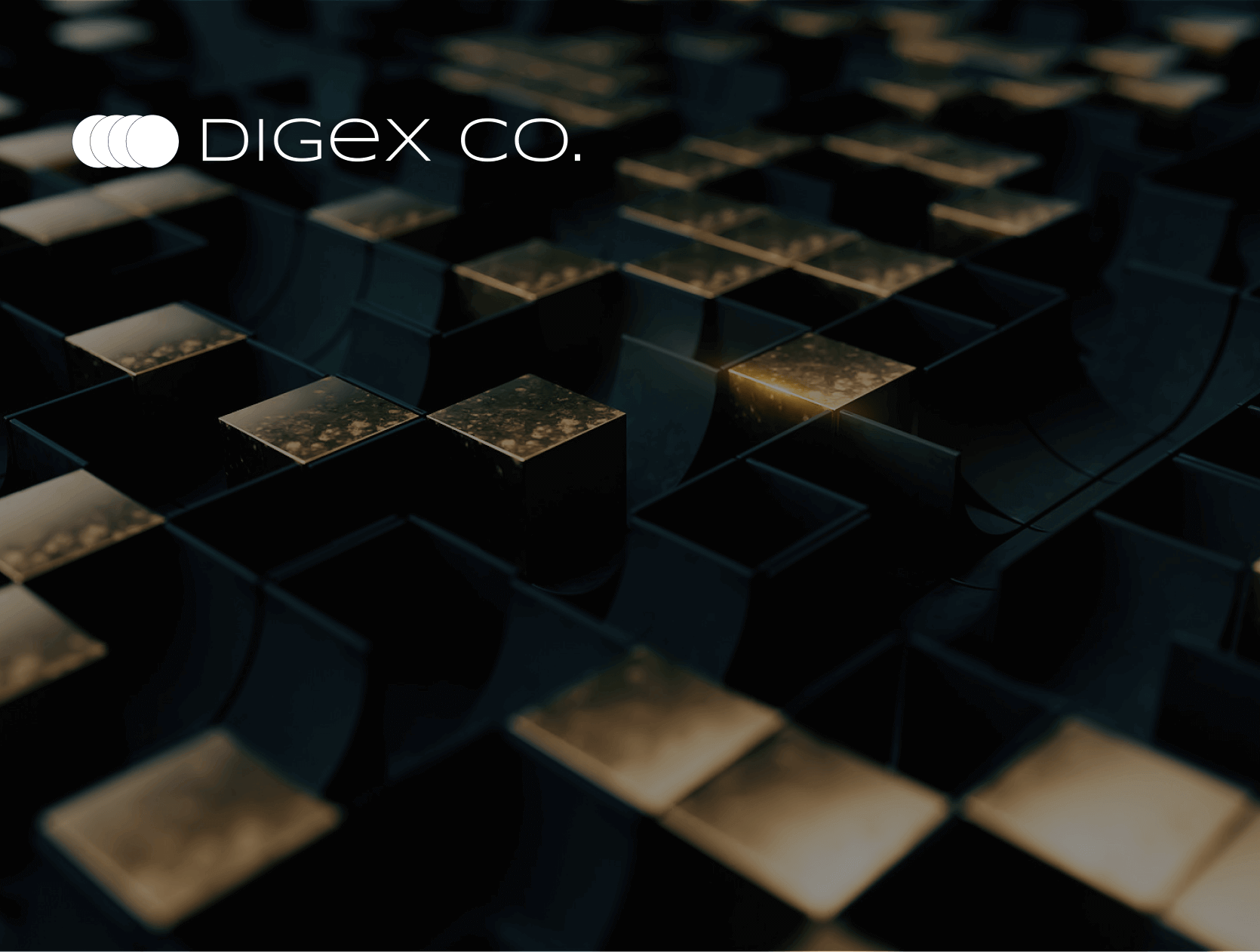 Почему специалисты в Digex Co. не выгорают | Digex Co.