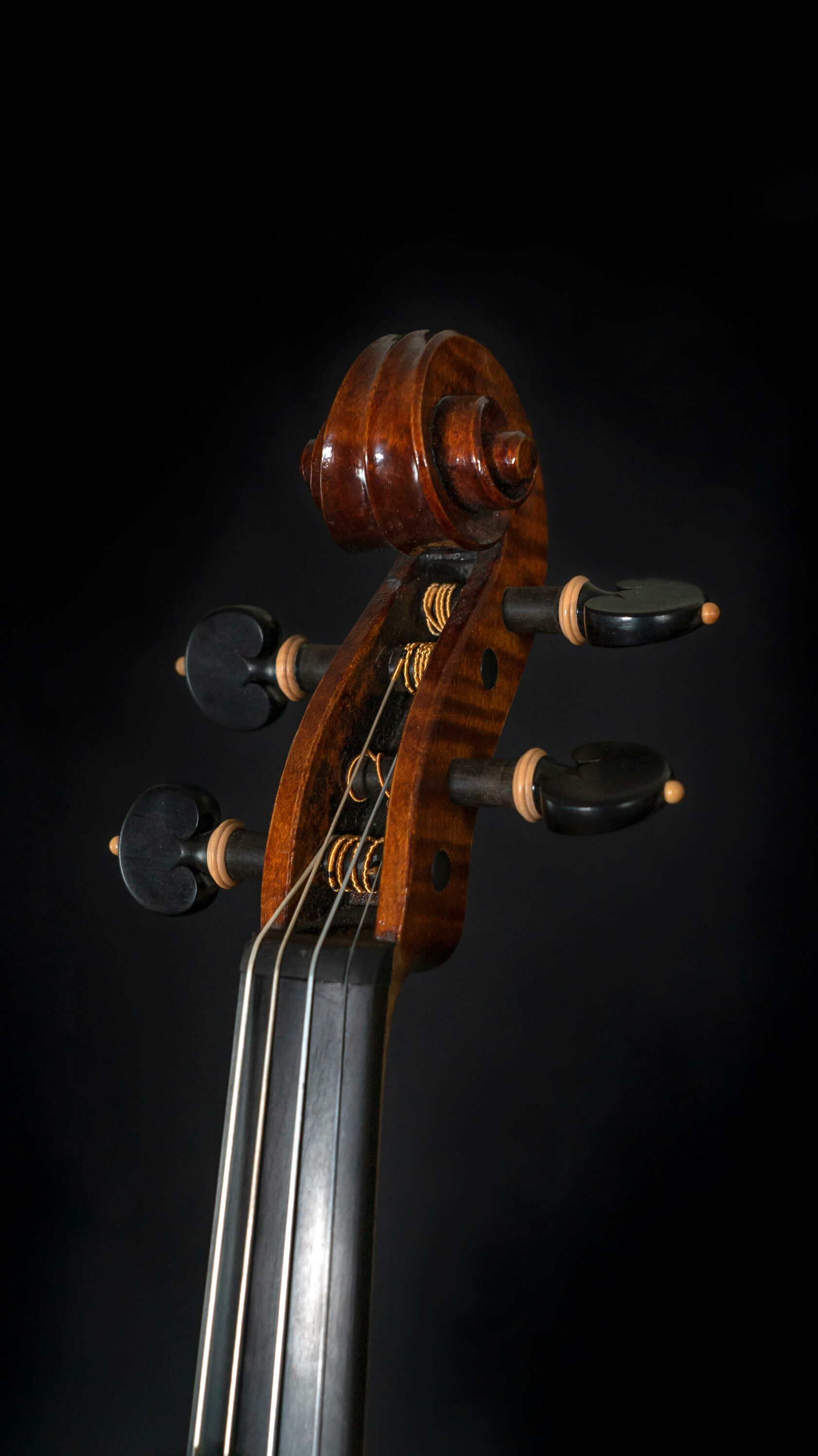 Violin Alba | Vera Willemyns Luthier