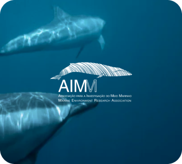 AIMM Portugal