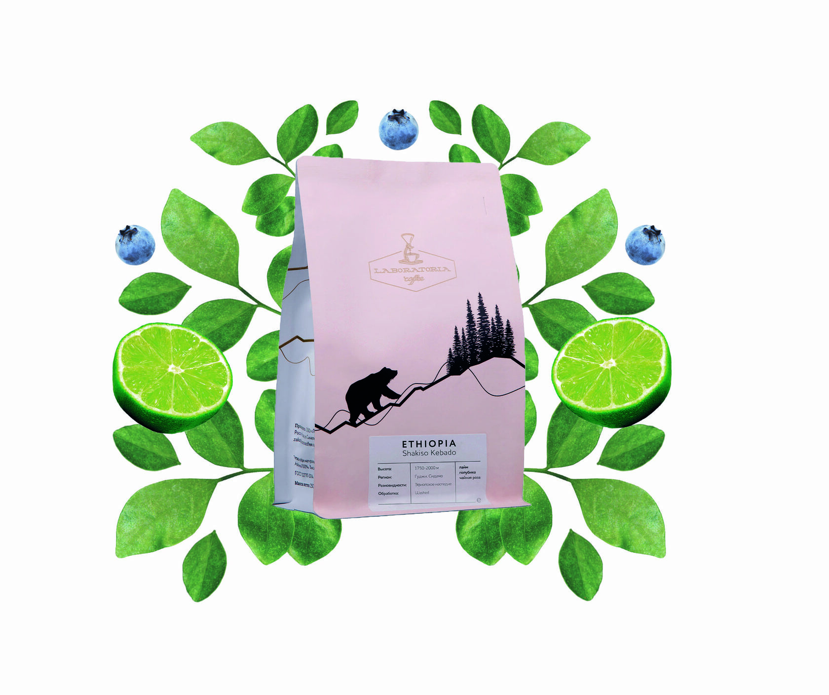 Ethiopia Shakisso Kebado купить в зернах в Лаборатории кофе