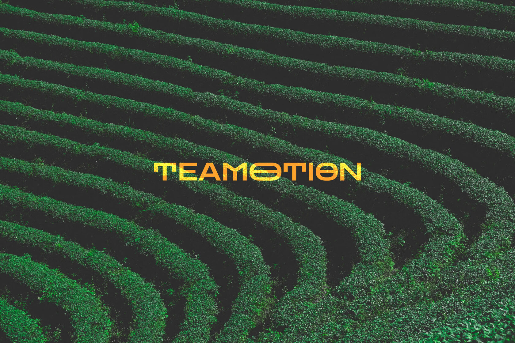 Teamotion Shop