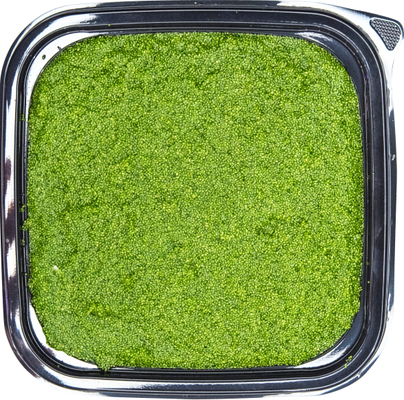 Wolffia - Crop of the future