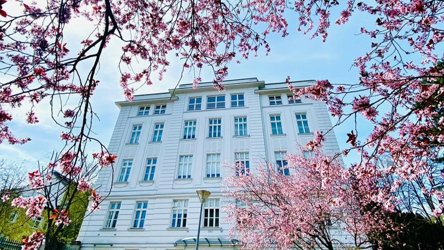 Education in Vienna: costs and conditions in 2023