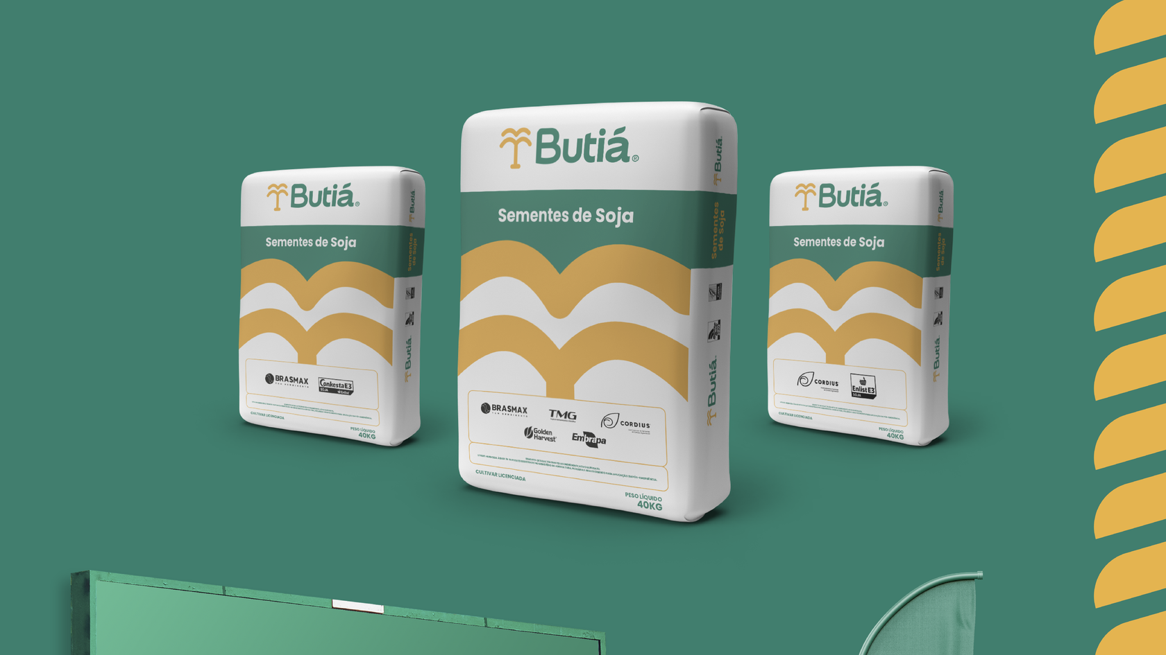 REBRANDING | Sementes Butiá