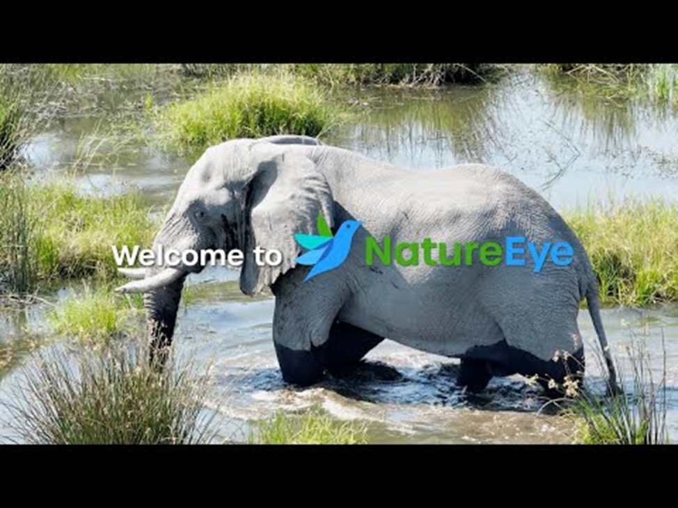 NatureEye™ запускает виртуальные полеты дронов по заказу в знаковые места по всему миру