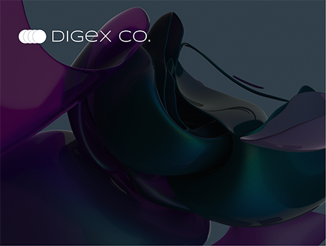 Разработка веб-приложений | Digex Co.