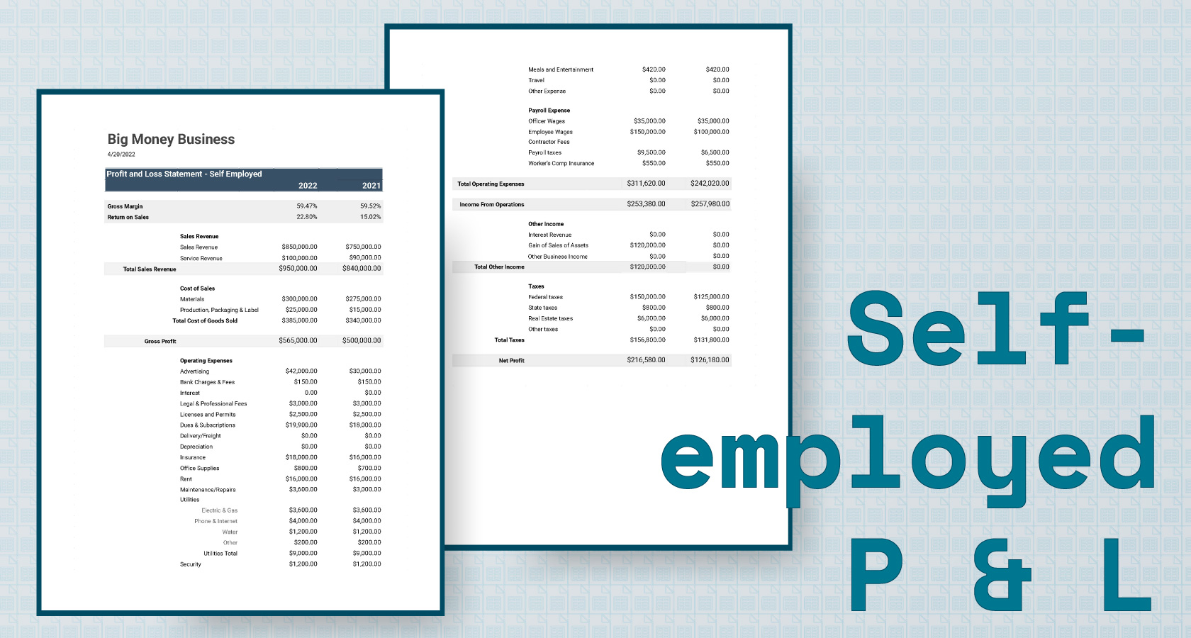 Examples of Profit and Loss Statements with Template