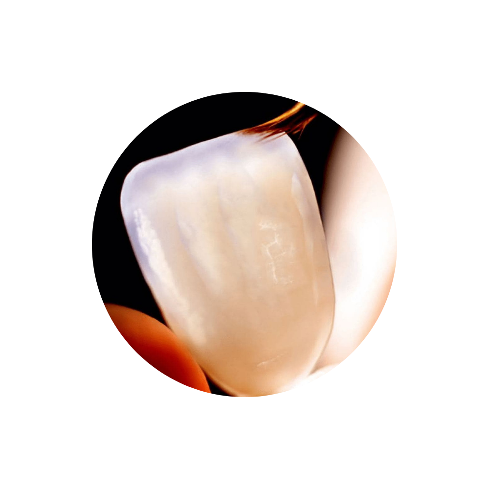 About Dr. Baruch Tetri