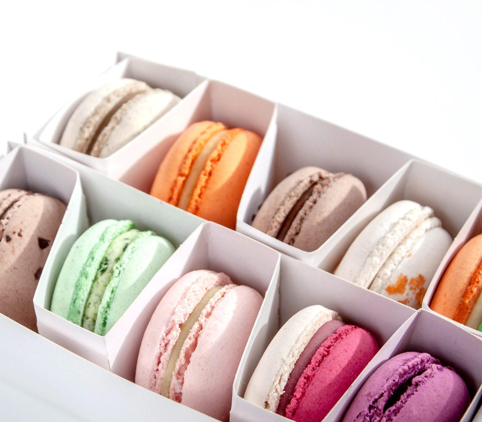 SHOco. — пекарня-кондитерська у Львові