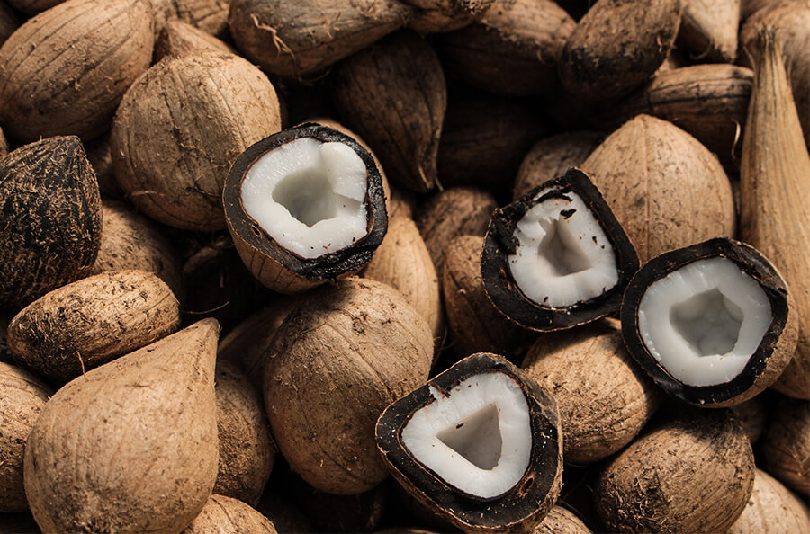 Produtos da sociobiodiversidade | SOS Amazônia