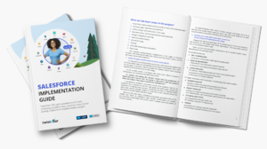 Salesforce Solutions and Consulting Services | Twistellar Company