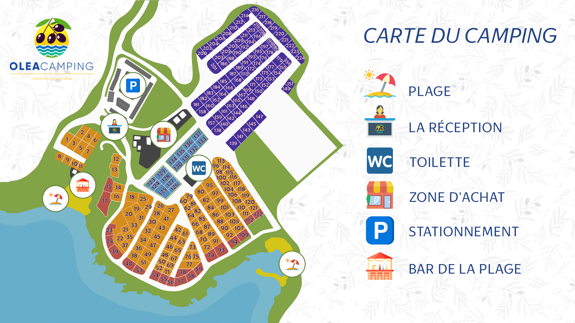 Bienvenue au camping Olea