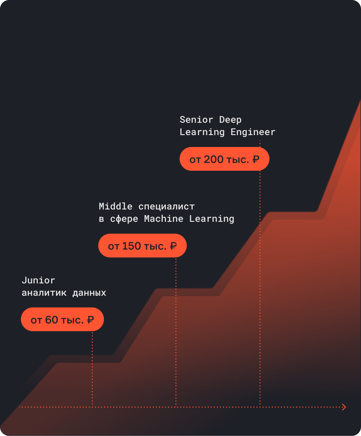 Гид по профессиям в Data Science – обзор направлений | karpov.courses