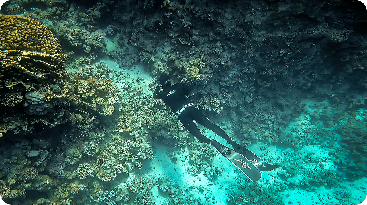 Freediving: a dive into it's history and evolution | Apnetica