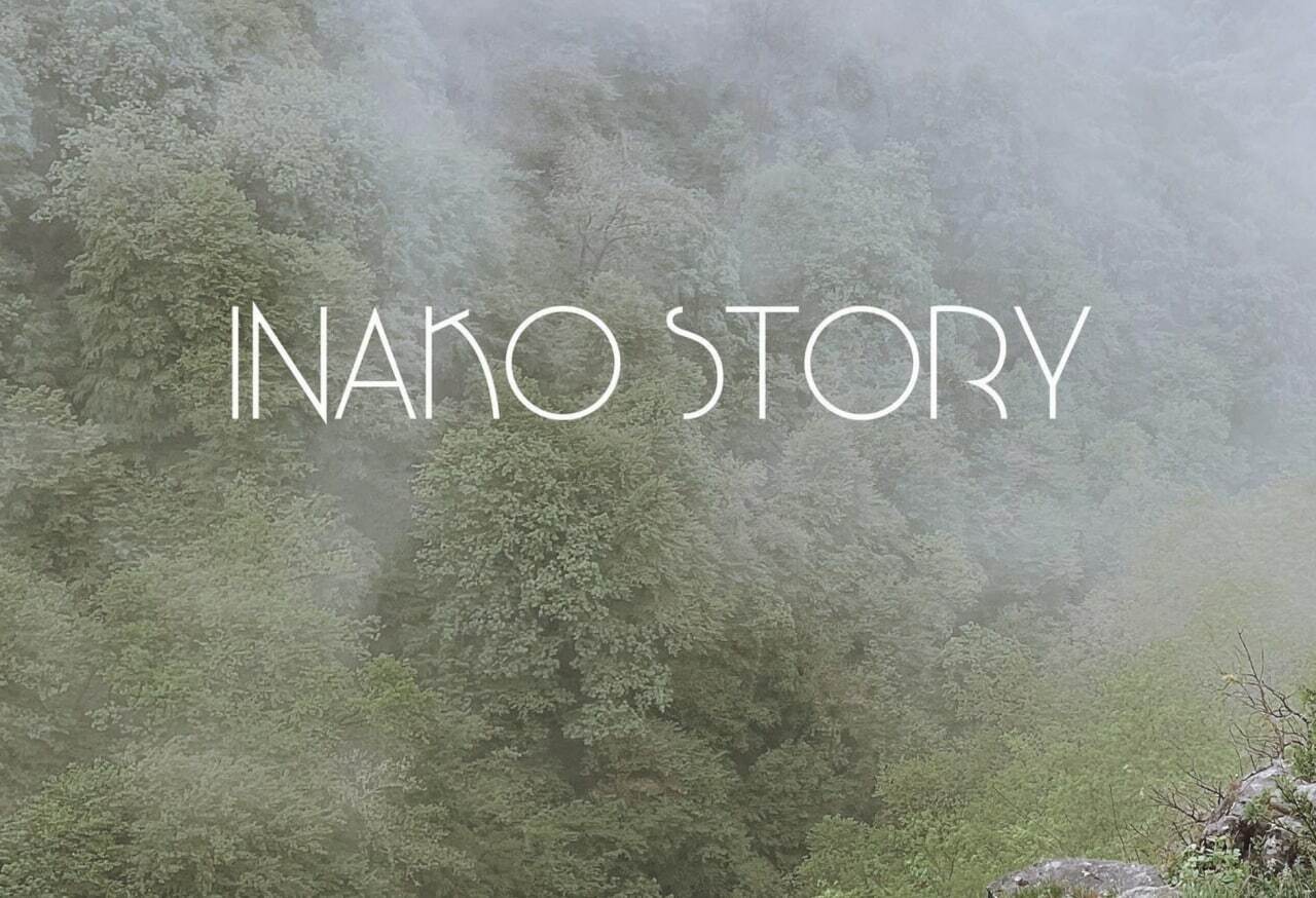 Каталог INAKO STORY