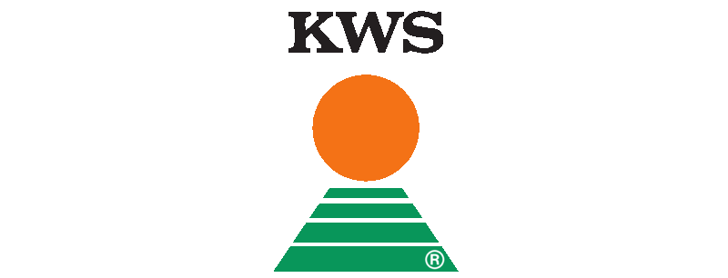 Золотой Початок - производство и продажа семяна гибридов кукурузы ...