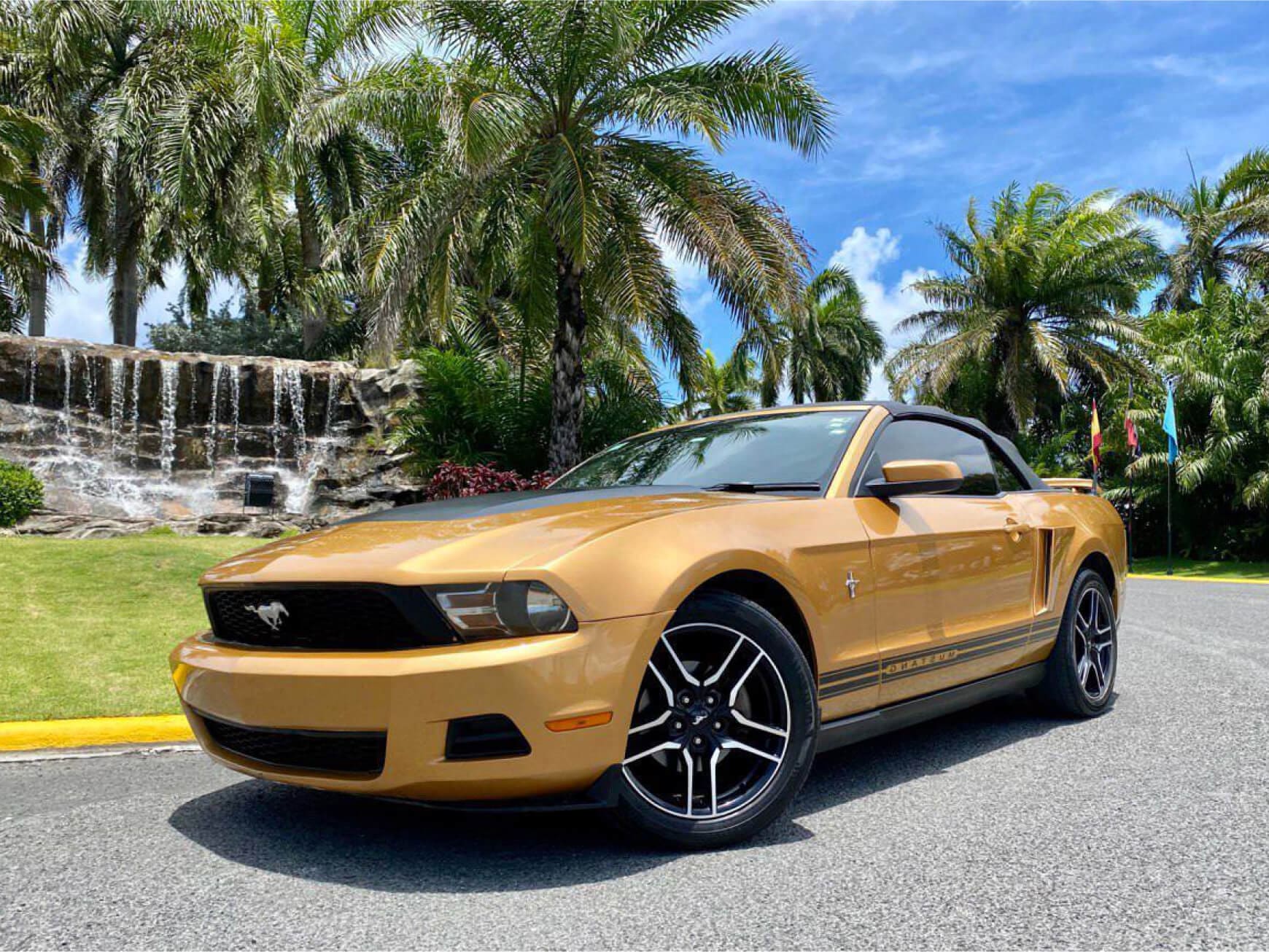Renta de carros en Punta Cana [Bavaro] - Rent Point
