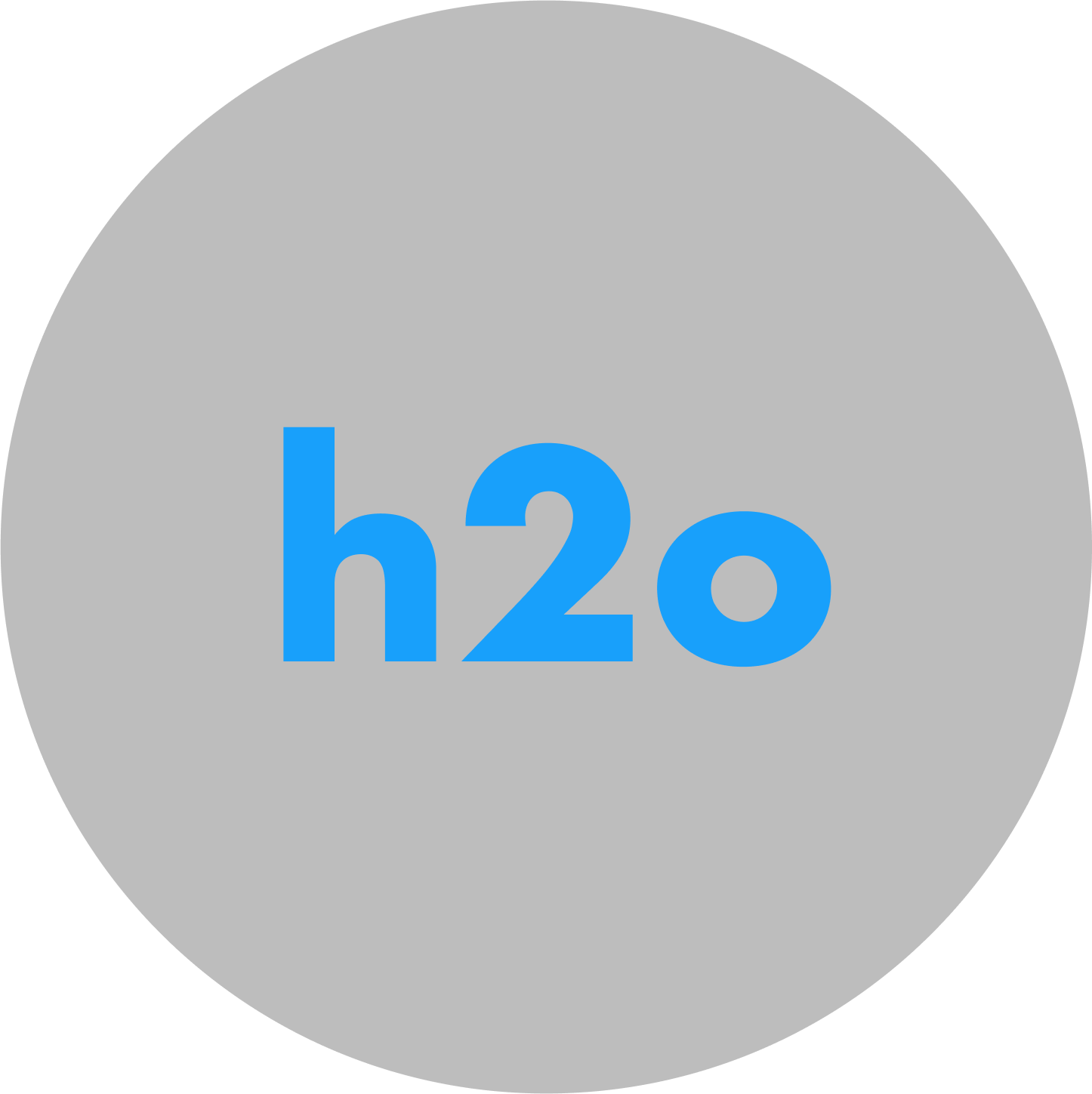 h2o models