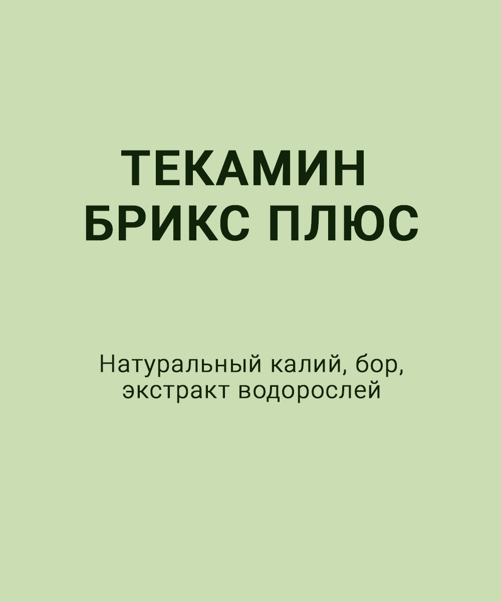 Текамин Брикс Плюс