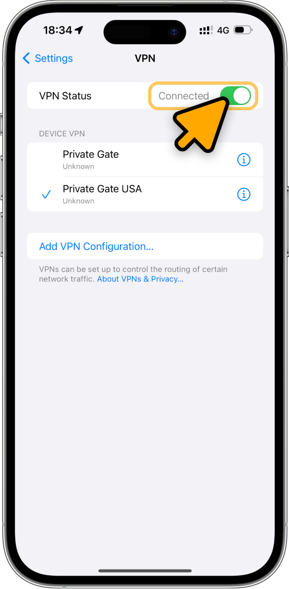 Private Gate VPN