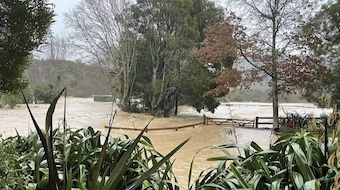 Aaron Stallard for NCC 2022