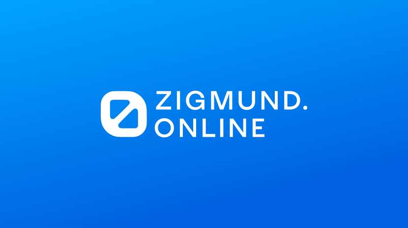 Психолог Онлайн | Видеоконсультация и помощь в Zigmund.Online от ...