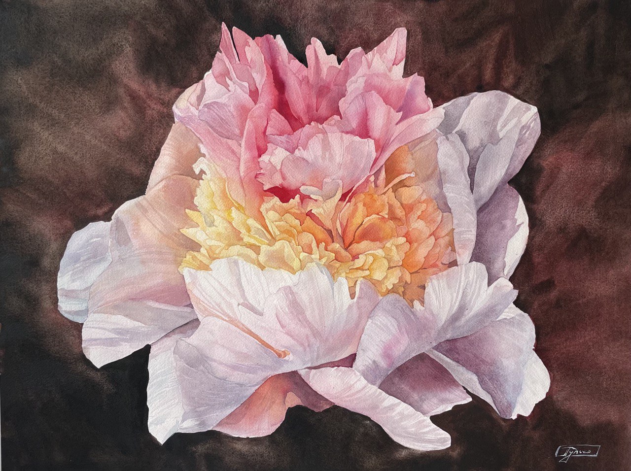 Watercolor Masterclasses
