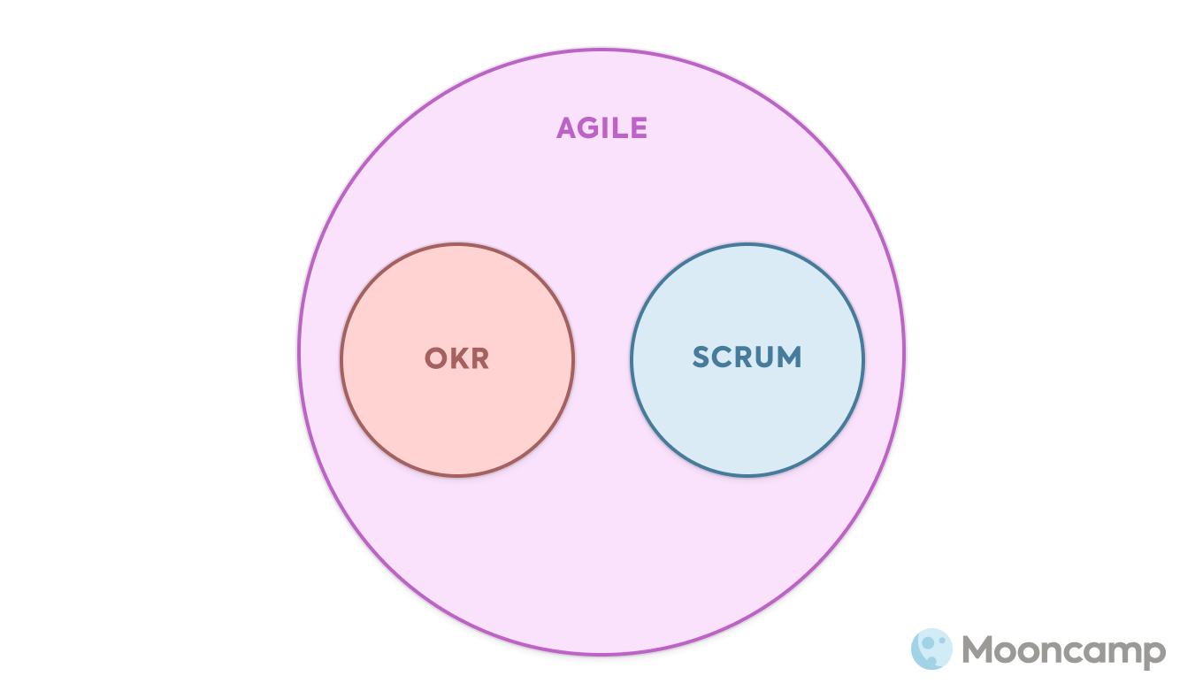OKR, Agile и Scrum: полное руководство