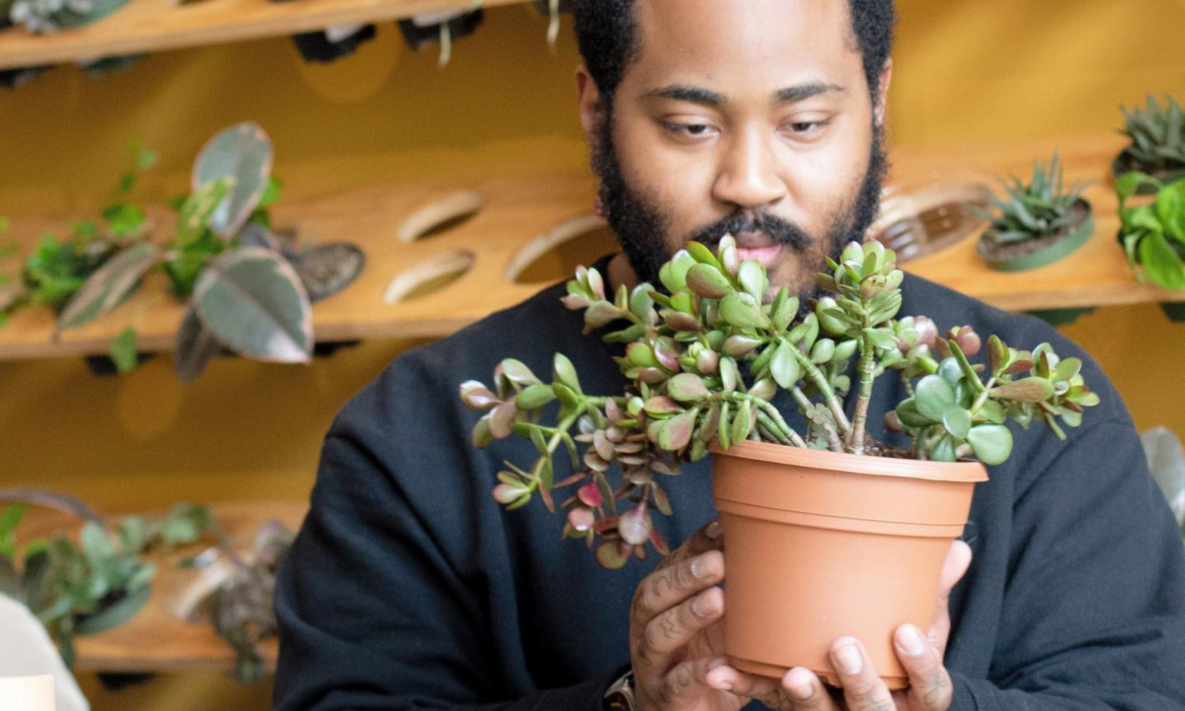 Top Plant Influencers of 2024 to follow
