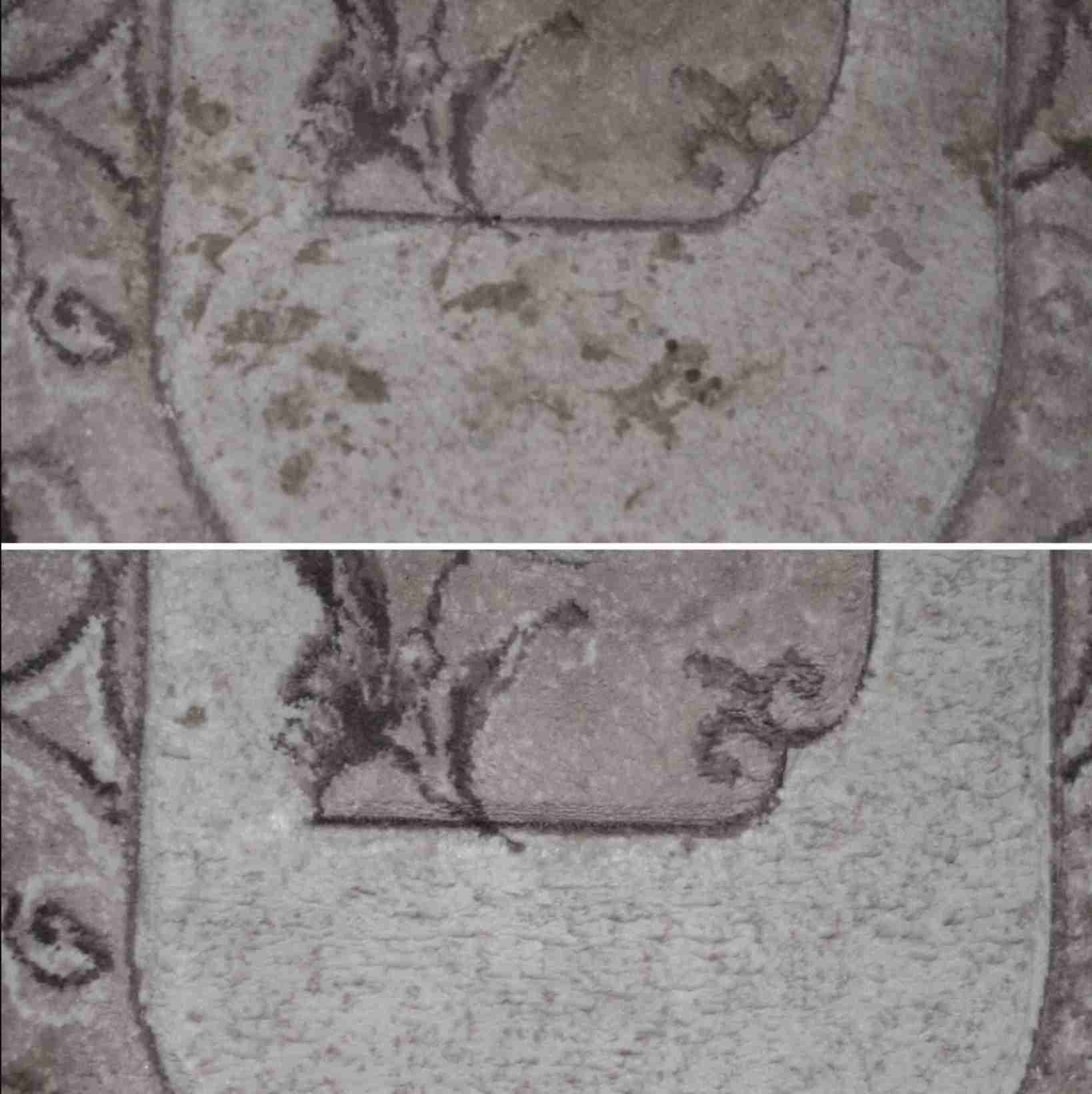 Cleaning & drying wet carpets after rain or flooding