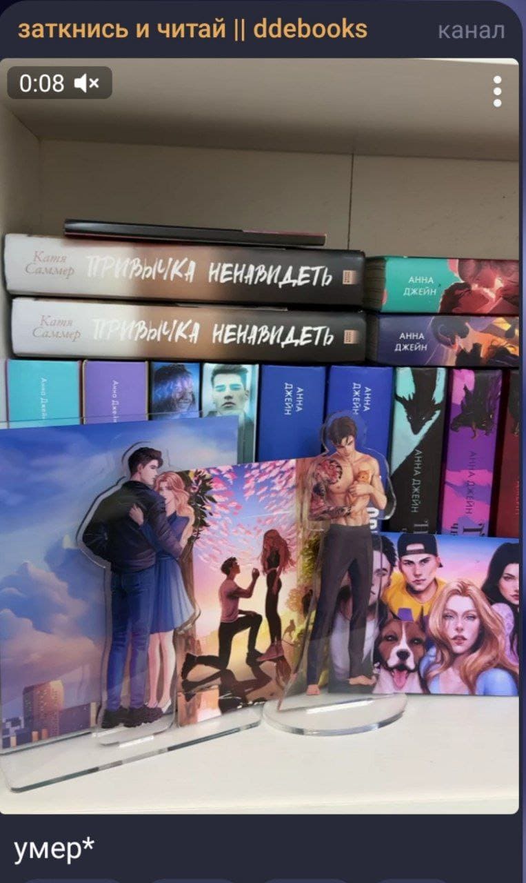 Anna Jane Shop — мерч по книгам Анны Джейн