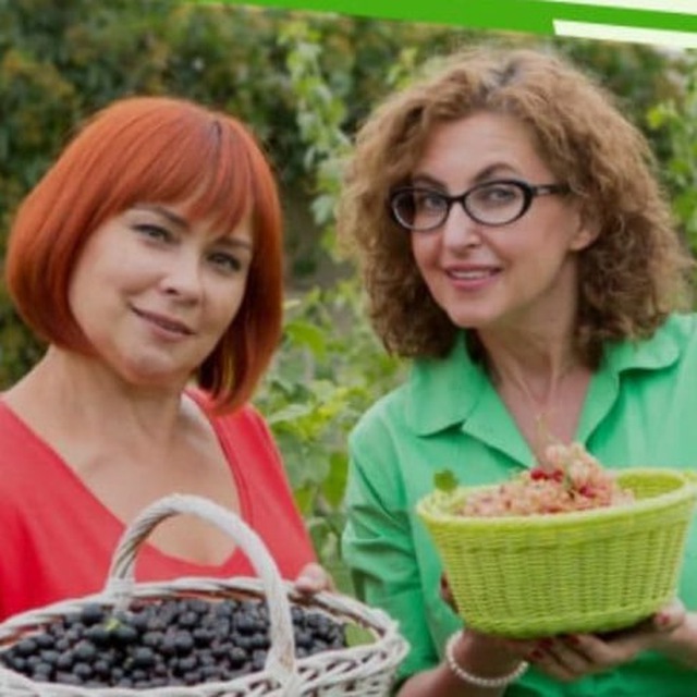 Клуб выпускников Strogoorganic