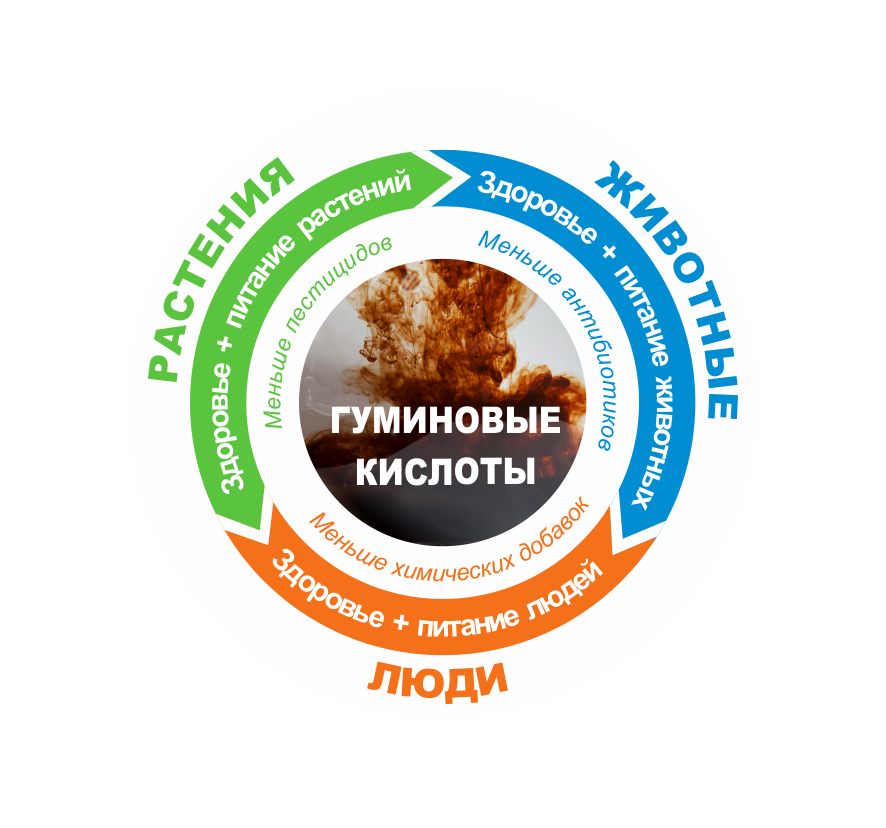 Технология Reasil