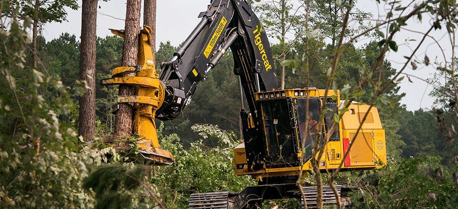 Валочно-пакетирующая машина Tigercat 855E | АмбиТех - официальный дилер ...