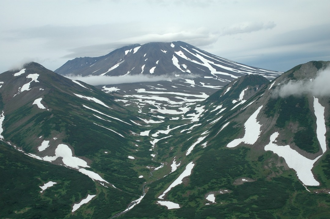 Charitable Foundation for the Conservation of Ecosystems of Siberia and ...