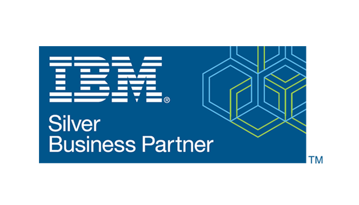Внедрение IBM Planning Analytics (IBM Cognos TM1)
