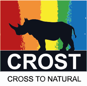 CROST | О компании